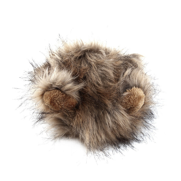 LION CAT HAT – Prob4