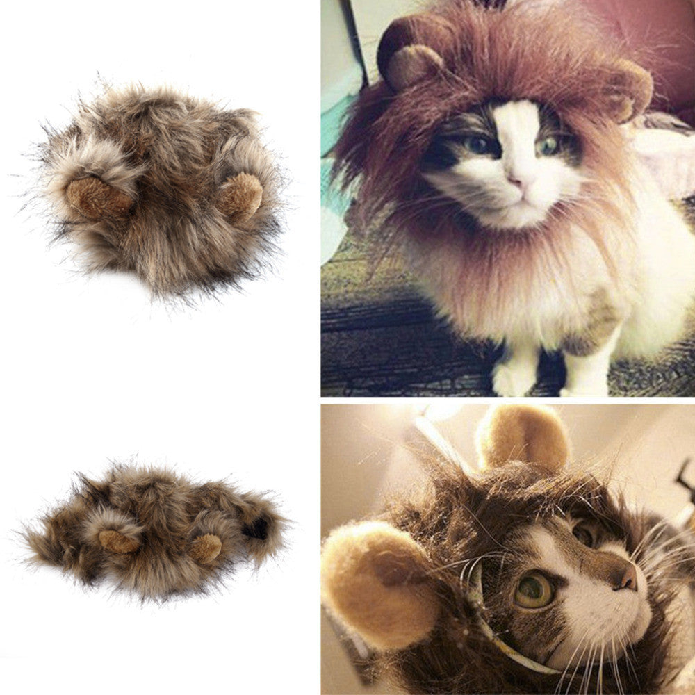 LION CAT HAT – Prob4